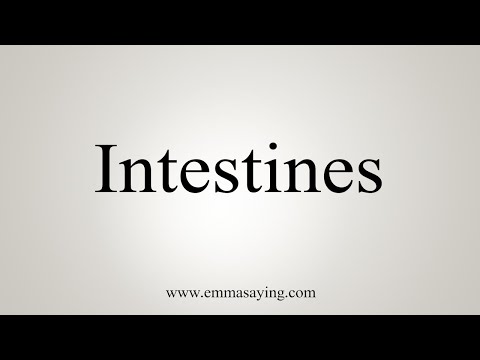 How To Say Intestines