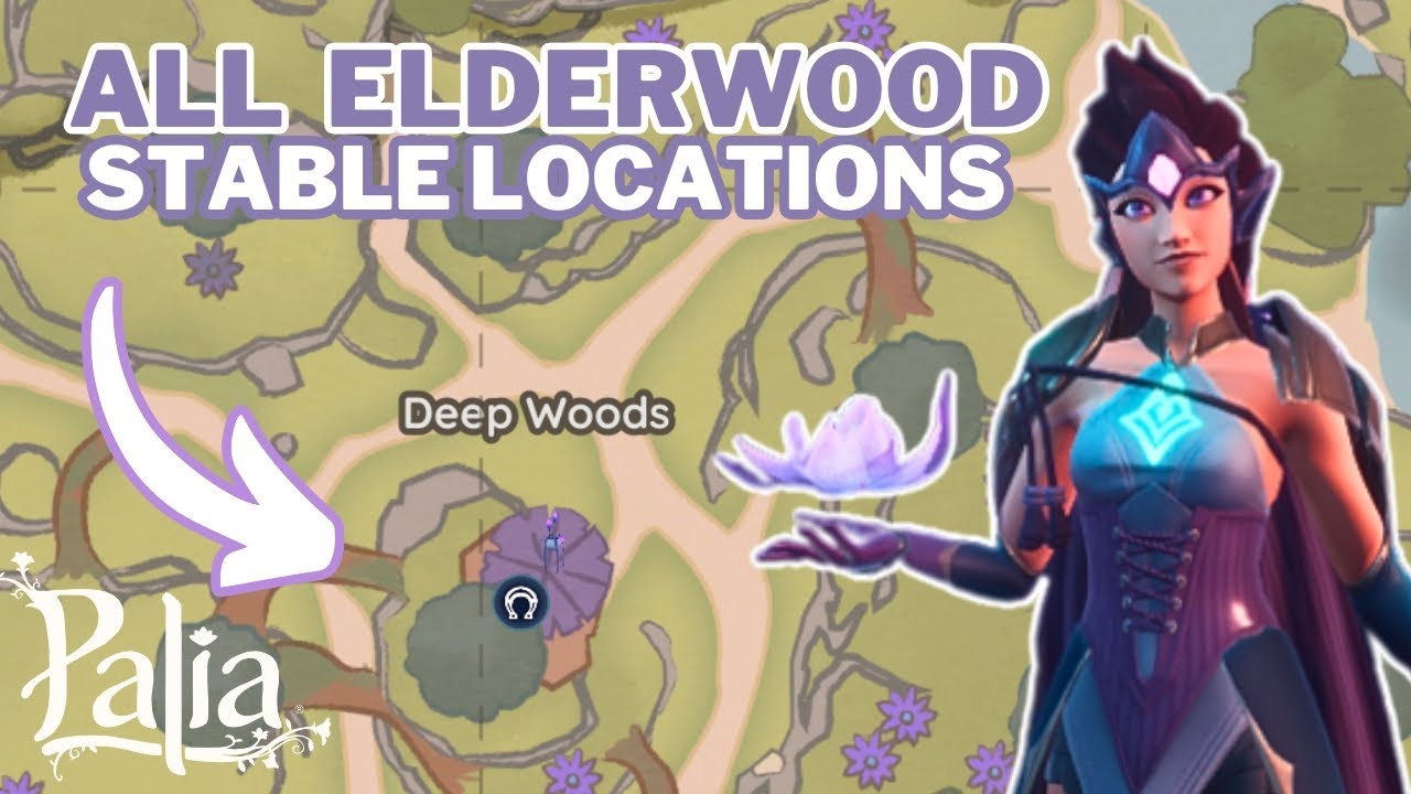 ALL Elderwood Stable Locations | Palia