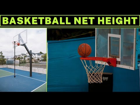 basketball net height | basketball rim height | basketball board height | basketball ring height