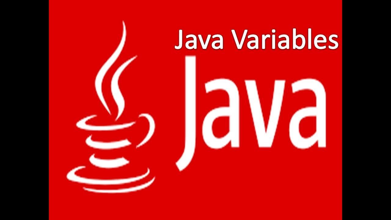 Selenium 8 - Java Variables