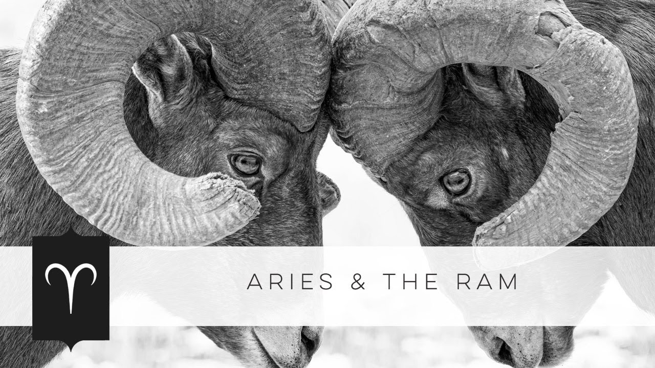 Aries & The Ram