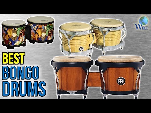 Bongo Drum at Best Price in India