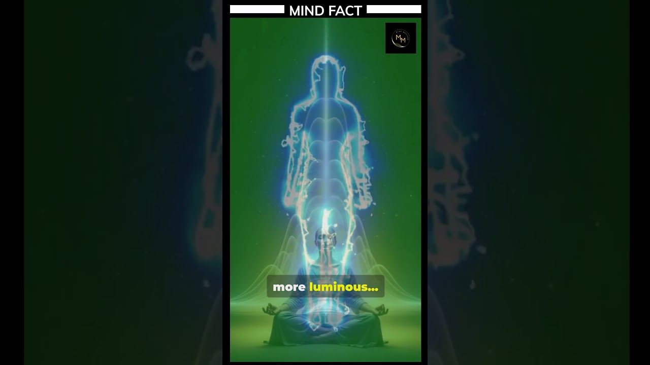 PART 2: Light Makes You Magnetic #shorts #shortsfeed #light #magnetism #loa