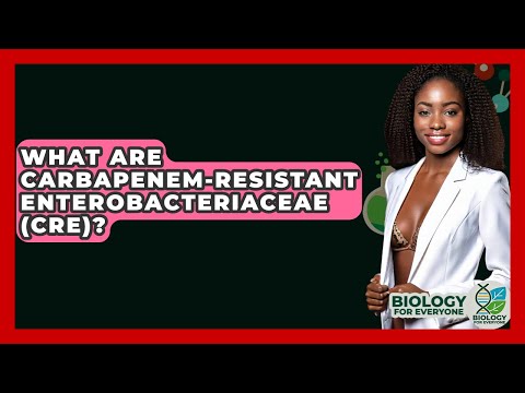 What Are Carbapenem-resistant Enterobacteriaceae (CRE)? - Biology For Everyone
