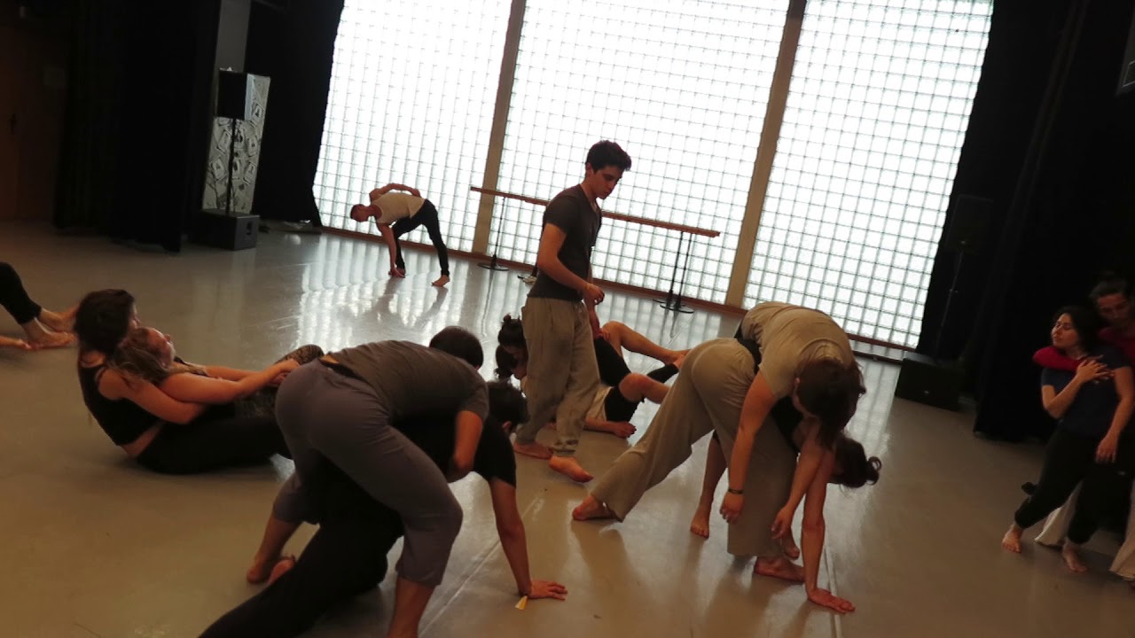 ProART Contemporary Dance Workshop Impro + Partnering