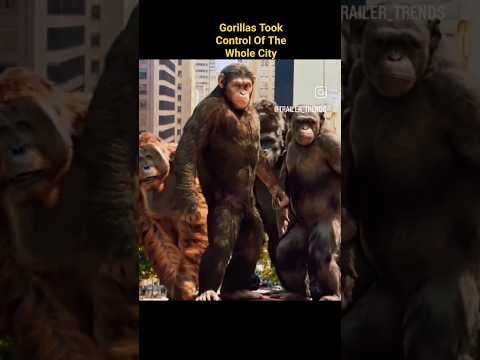 Gorilla's Takes Control #movies #youtubeshorts #shorts