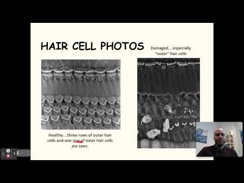 Hearing (Audition) - Structures, Functions, Theories