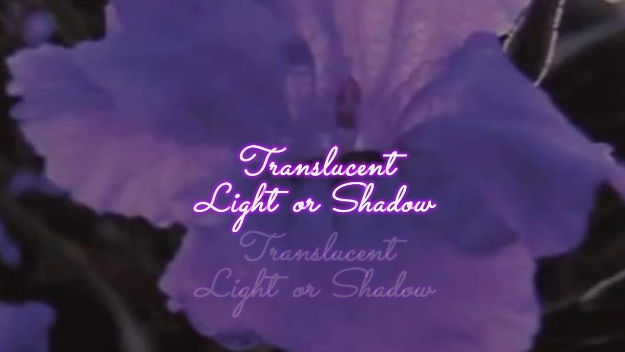 Quick Tip 415 - Translucent Light or Shadow