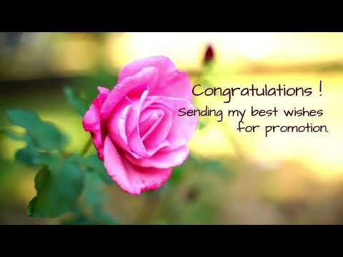 Congratulations on your Promotion | Congratulations Messages for Promotion | Job Promotion wishes