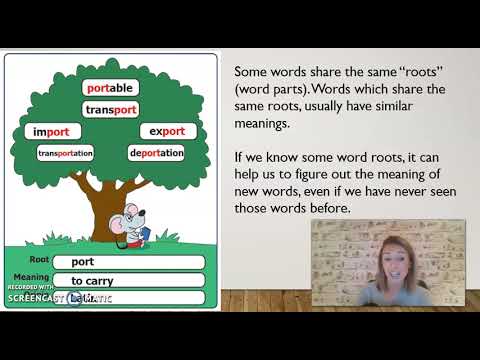 Word roots 1
