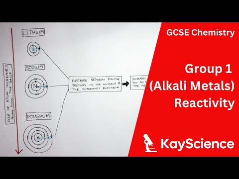 Group 1 (Alkali Metals) Reactivity - GCSE Chemistry | kayscience.com