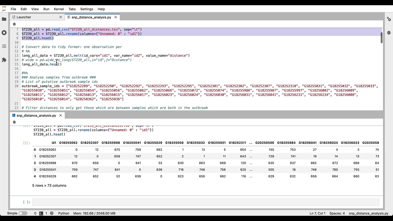 Using binder with a Python script
