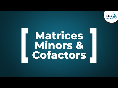 Matrices - Minors and Cofactors | Don't Memorise