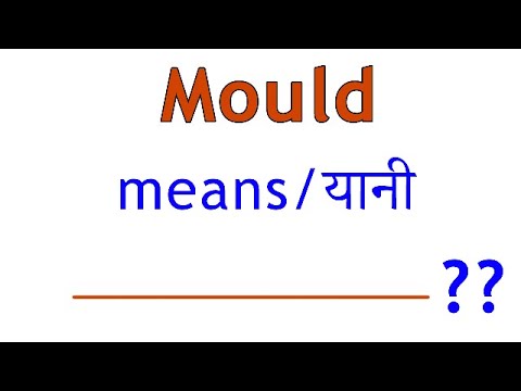 Mould Meaning in Hindi | Mould in Hindi | Mould Meaning