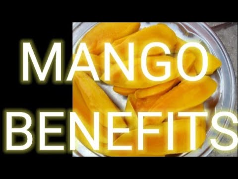 mango benefits|| mango botanical name|mango nutrients