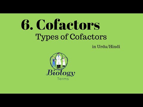 Types of Cofactors | Cofactors Class 11 Biology | Enzymes