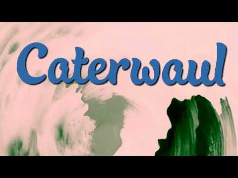 "Caterwaul" | Word of the Day | Words To Use