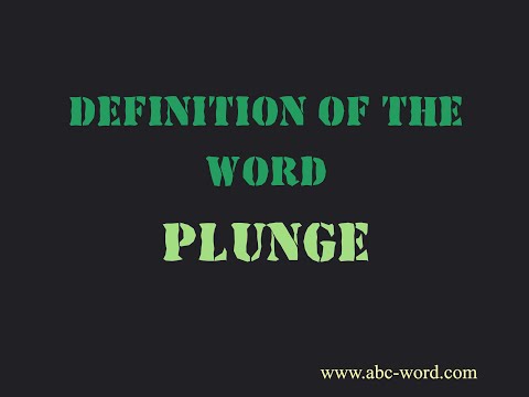 Definition of the word "Plunge"