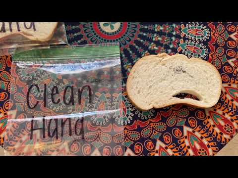 Science Story Time: Bread and Mold