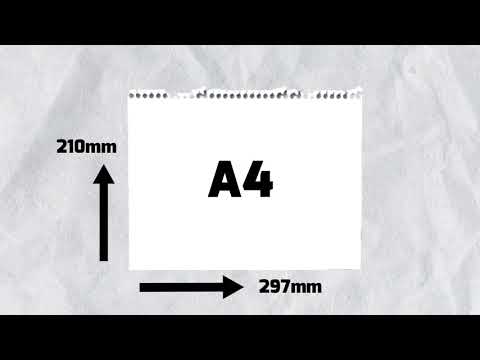 Tamaños y tipos de papel | Dayton Solutions