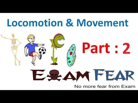 Organs for Locomotion and Movement - Locomotion and Movement, Biology ...