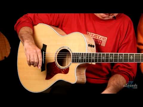 zZounds.com: Taylor Maple Guitar Tonewood