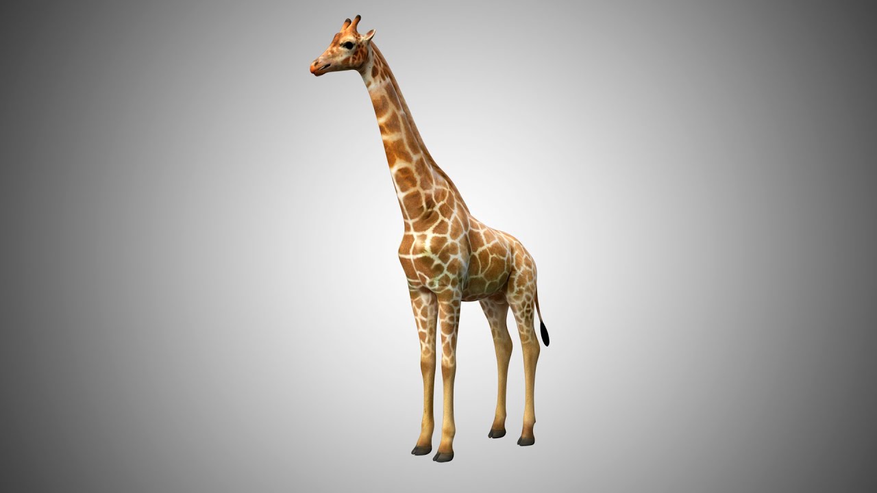 GIRAFFE 3D MODEL RIGGED AND LOW POLY