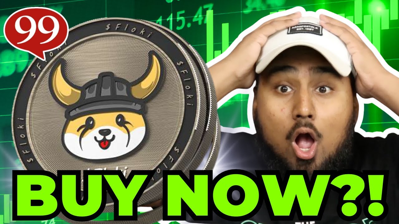 FLOKI MASSIVE $12,000,000 BUY IN!! SHOULD YOU BUY FLOKI INU COIN ...