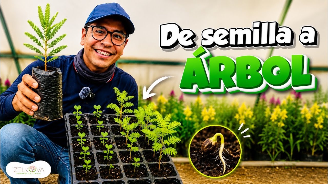 ¿Cómo GERMINAR ÁRBOLES NATIVOS? - Parte 1