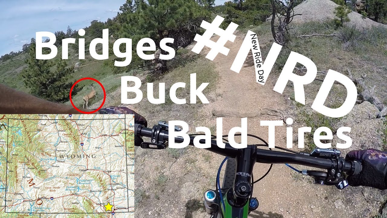 Bridges, Buck, and Bald Tires :|: Mountain Biking Curt Gowdy Wyoming
