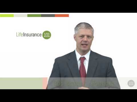 Term Life Insurance Quotes