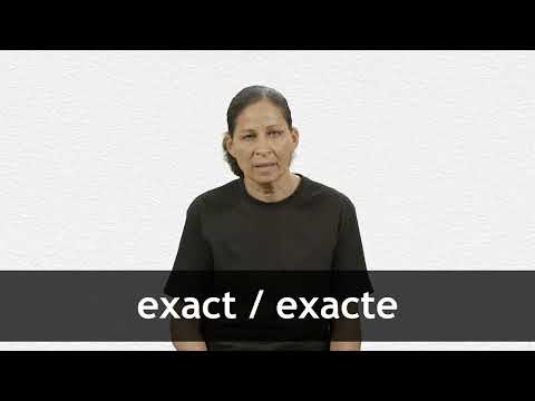 English Translation of “EXACT” | Collins French-English Dictionary