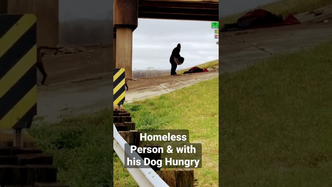Homeless Person & Dog