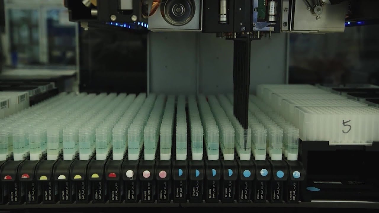 Hacker trying to sell 23andMe’s stolen Jewish ancestry data