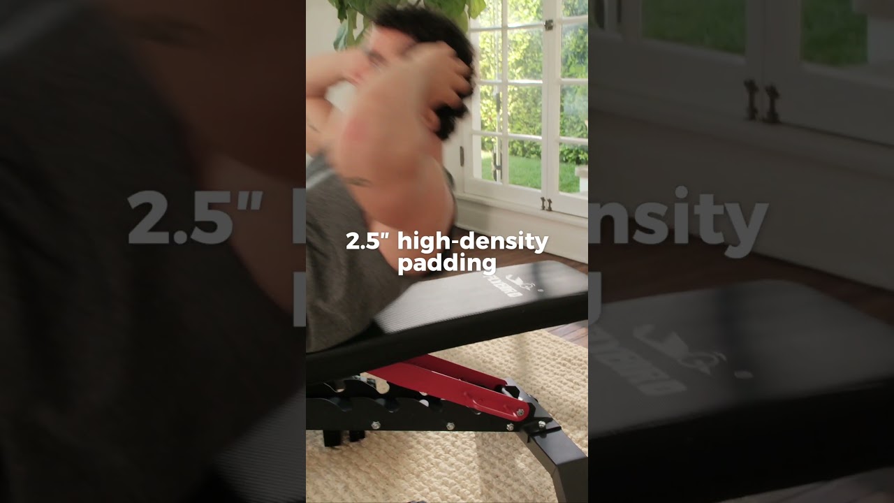 FLYBIRD Adjustable Weight Bench