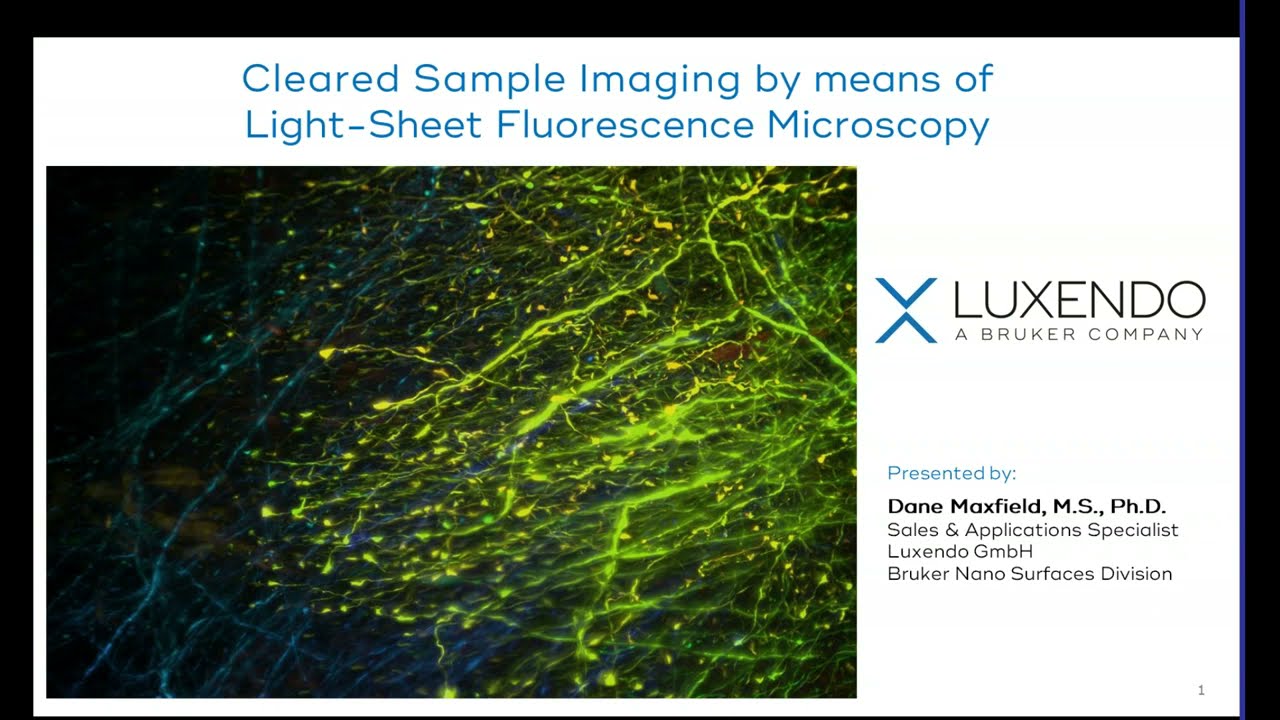 Light Sheet Microscopy | Cleared Sample Imaging | Bruker