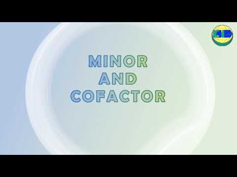 Determinant of 2x2 matrix, minor and cofactor