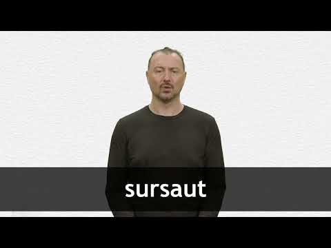 English Translation of “SURSAUT” | Collins French-English Dictionary