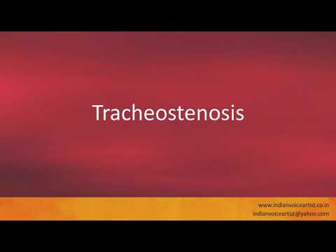 Pronunciation of the word(s) "Tracheostenosis".