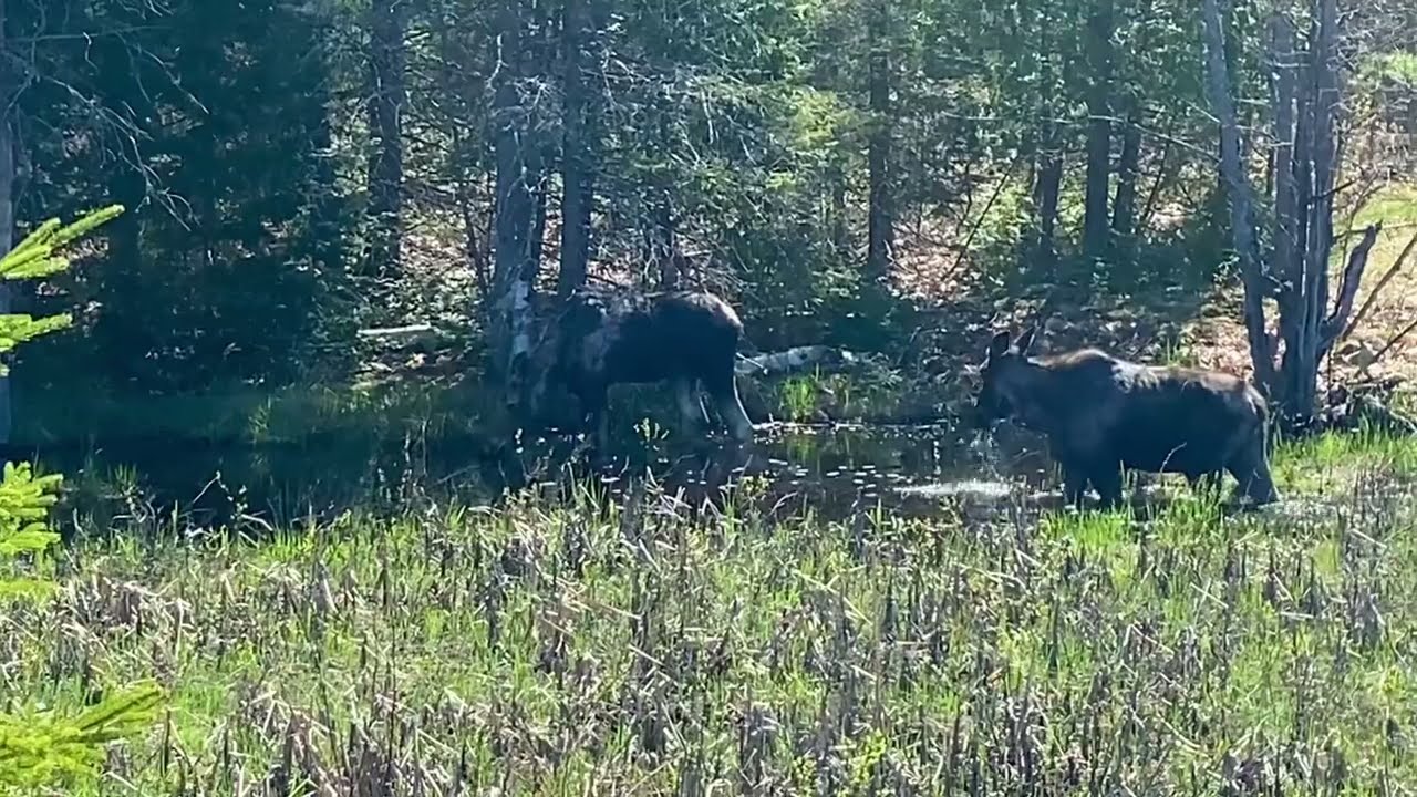 IMG 1796