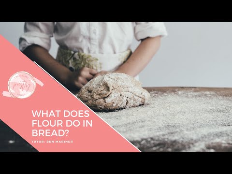 What does flour do in bread - the function of flour in bread - from The Online Pastry School courses