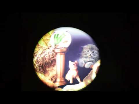 Magnetic Effect Wheels 6" Fluffy Animals | Projection & Light Effects