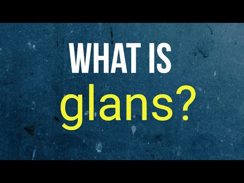 What is glans