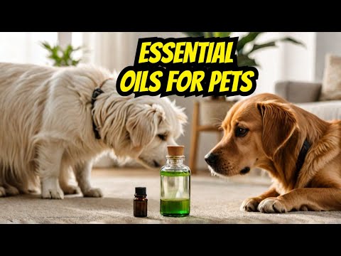 Top 5 Essential Oils for Pet Wellness