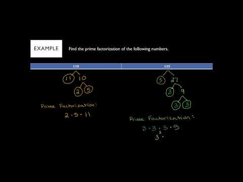 MA104 Prime Factorization