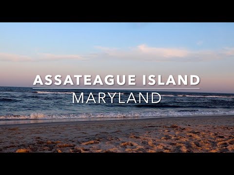 Assateague Island Is A Mesmerizing Dark Sky Park In Maryland