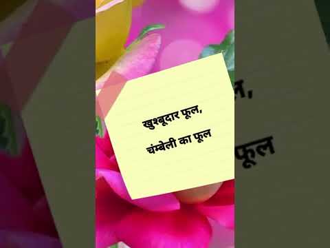 Yasmeen name ka kya matlab hota hai! यासमीन नाम का क्या मतलब होता है। یاسمین کے معنی!