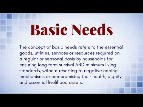 What Is The Definition Of (Basic Needs)?