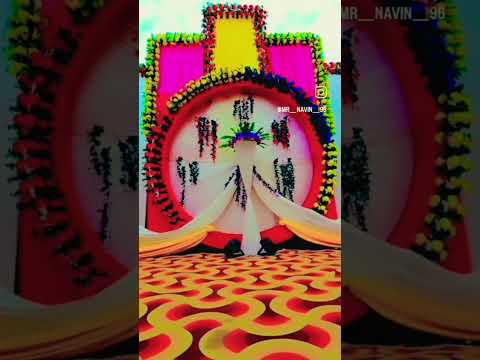tik tok video download online