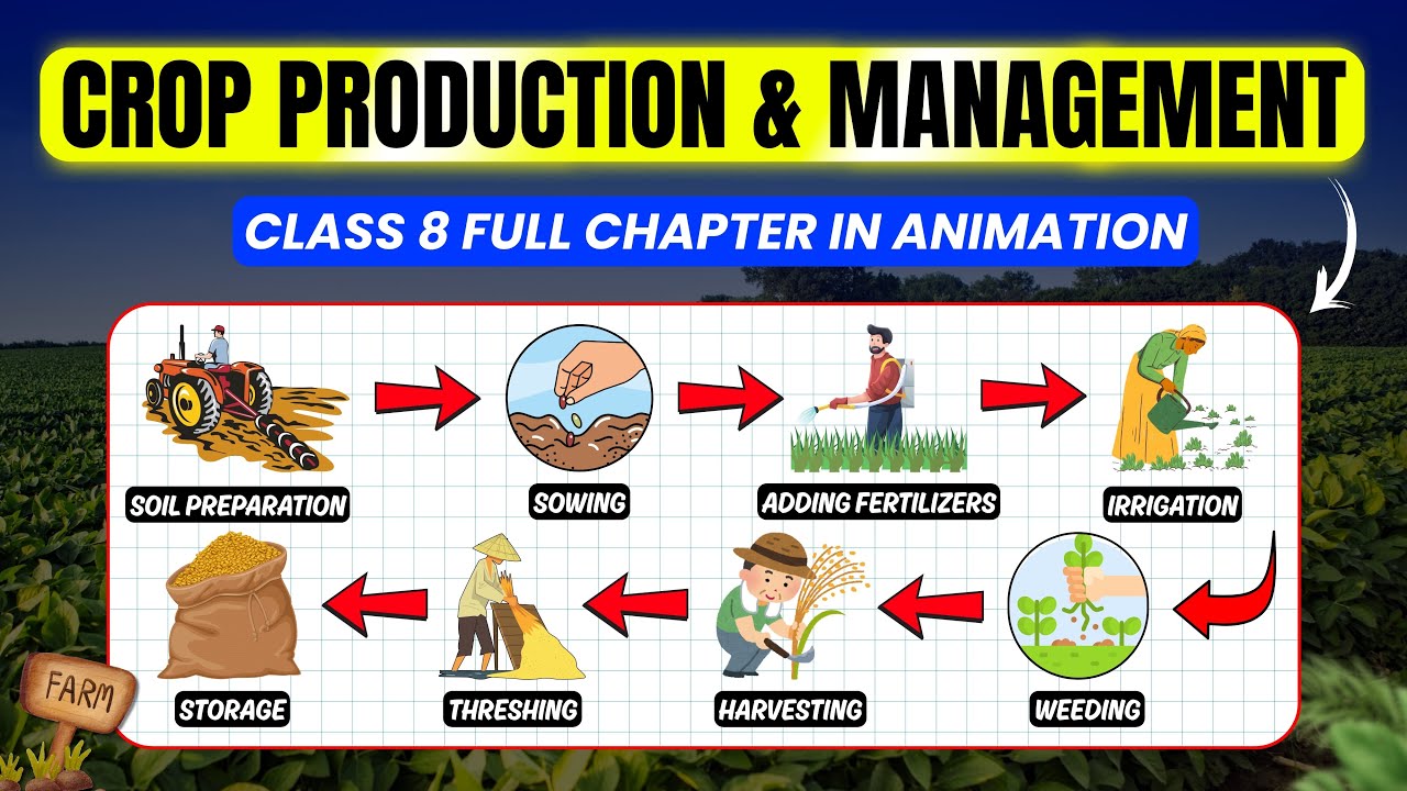 Class 8 Science | Crop Production and Management | Full Chapter Explained 🌱👨‍🌾